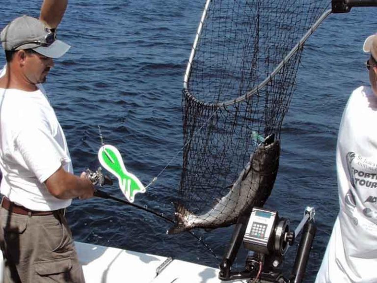 Ludington Michigan Salmon Fishing Photos